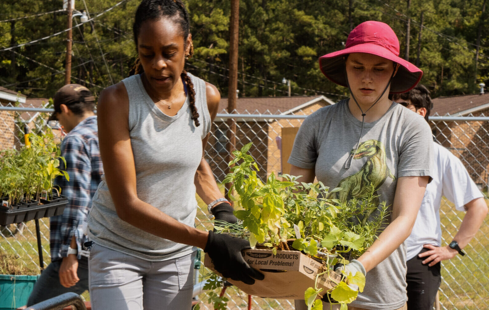 When Solutions Are Local - Southeast Sustainability Directors Network
